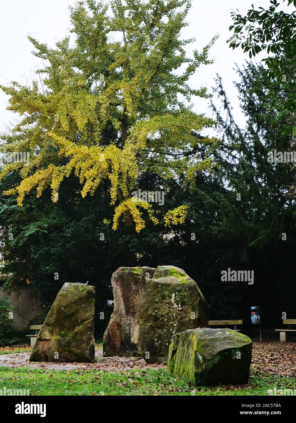 Intense color of nature hi-res stock photography and images - Alamy