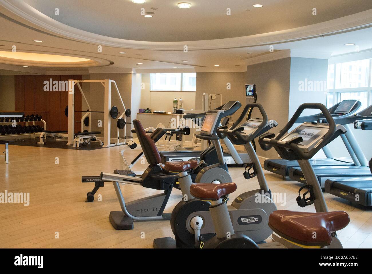 clean gym with free weights, weight machines and smith machines and ...