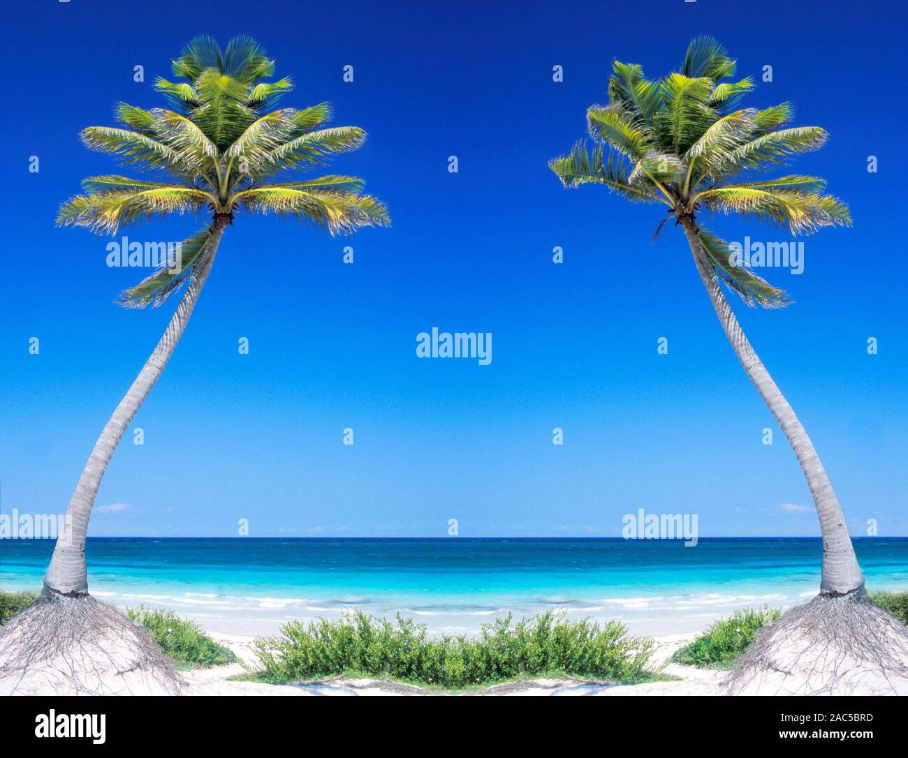 Strand palme meer hi-res stock photography and images - Alamy