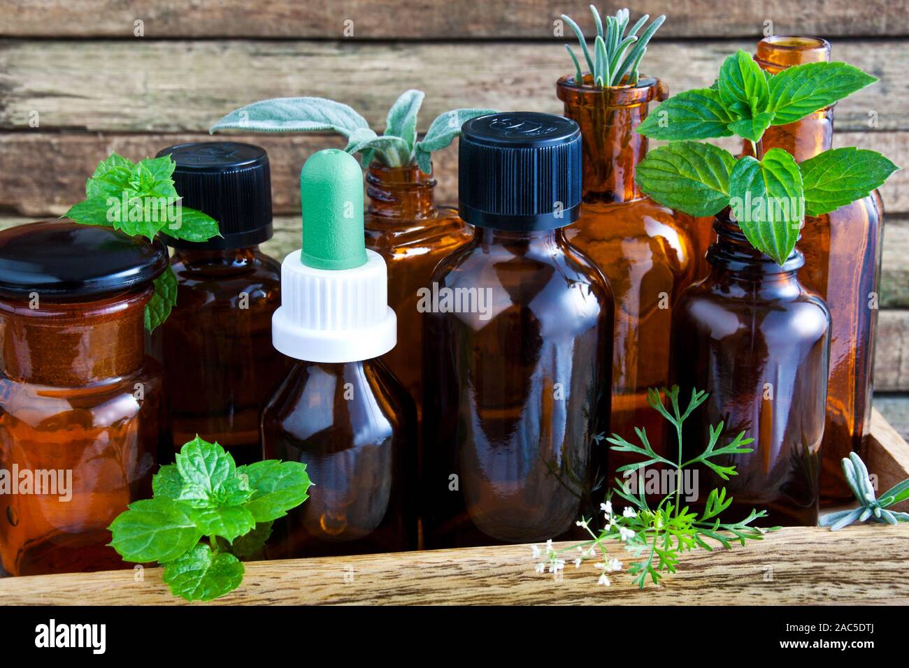 Various natural hi-res stock photography and images - Alamy