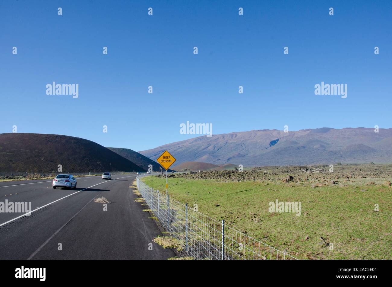 "Sheep Crossing" sign along Saddle Road, with black cinder cones and ...
