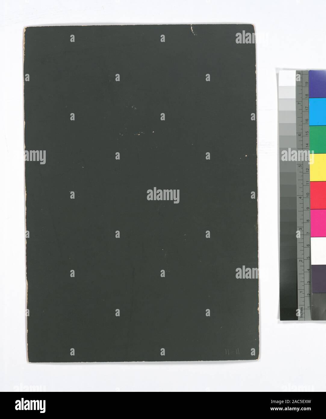 Helen chadwick hi-res stock photography and images - Alamy