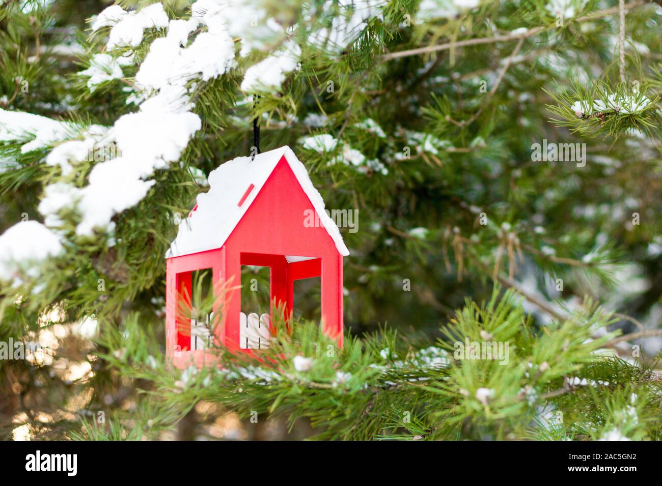 Christmas bird feed handmade hi-res stock photography and images - Alamy