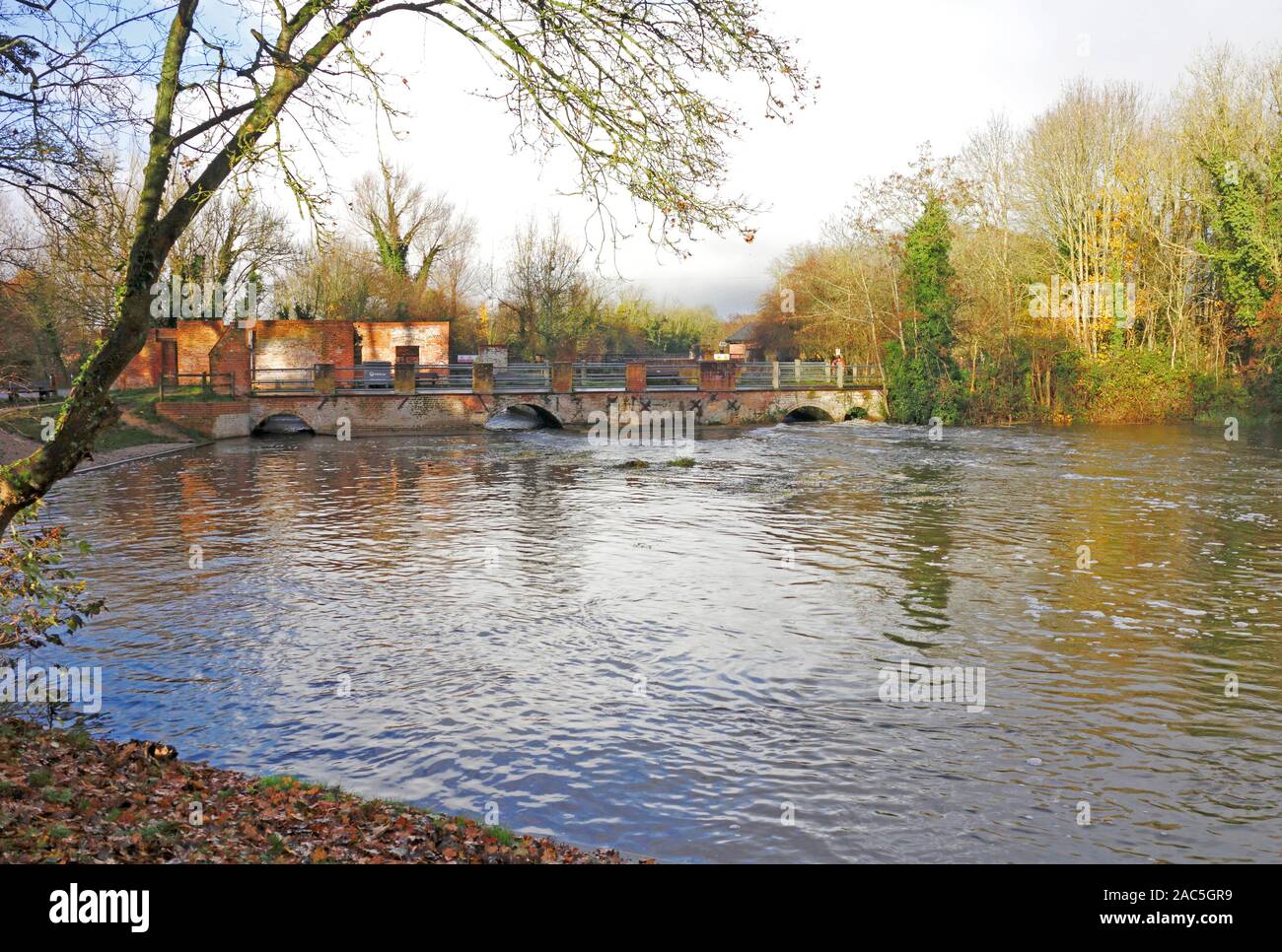 The mill pool and remains of the brick arches of the old Horstead ...