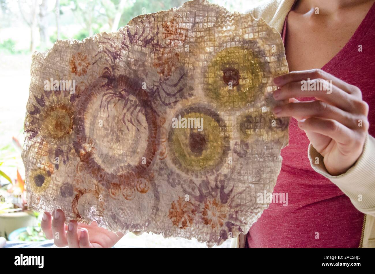 A close-up view of kapa (or tapa) made of paper mulberry bark by Roen ...