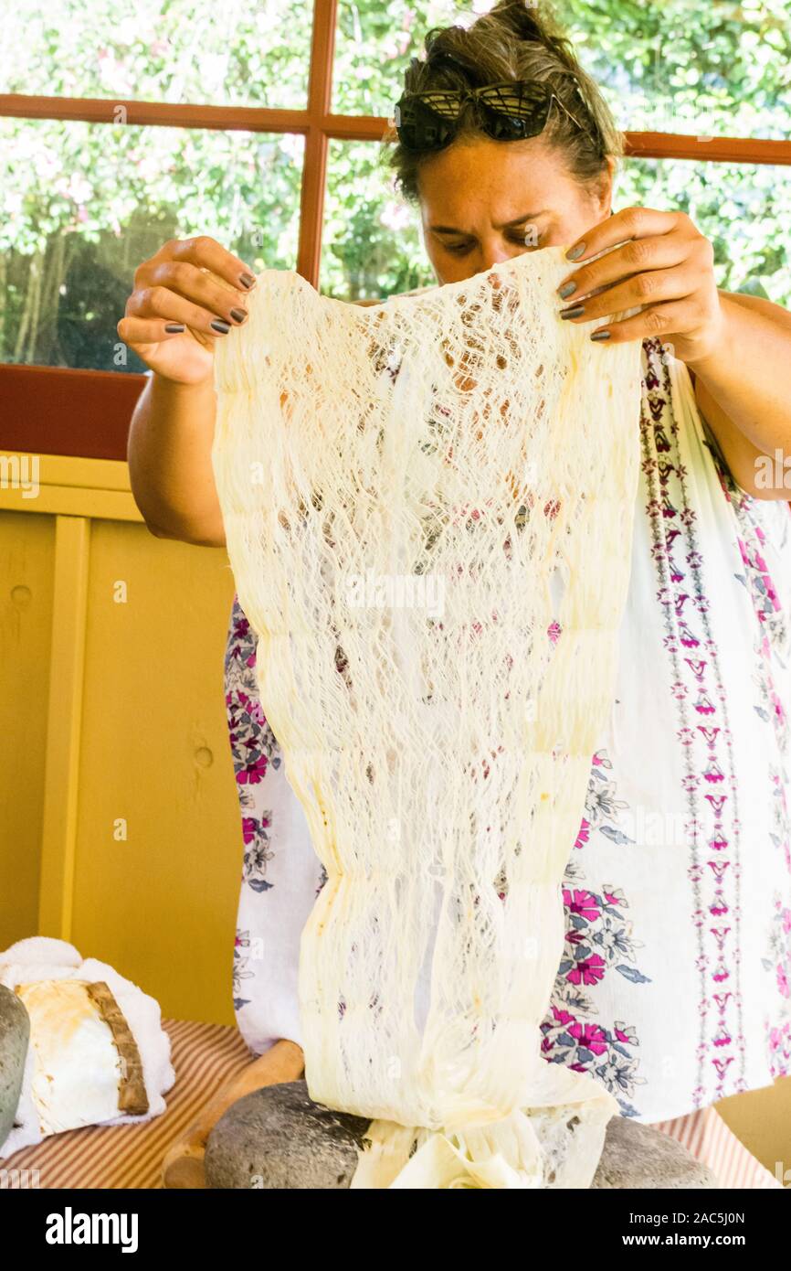 Kapa making on the Big Island: Pomai inspects beaten wauke, which she ...