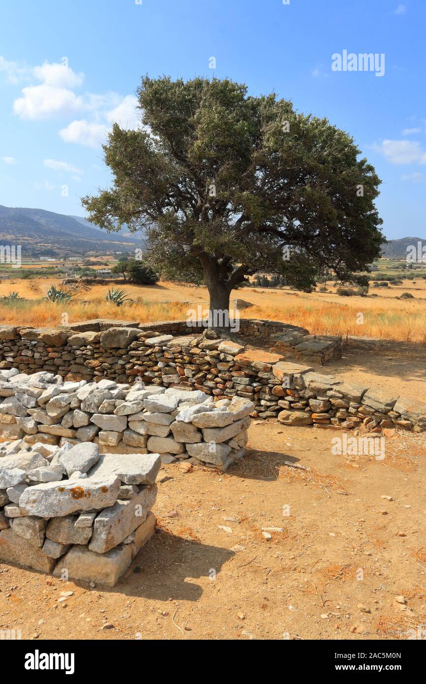 The countryside in the Naxos island, Greece Stock Photo - Alamy
