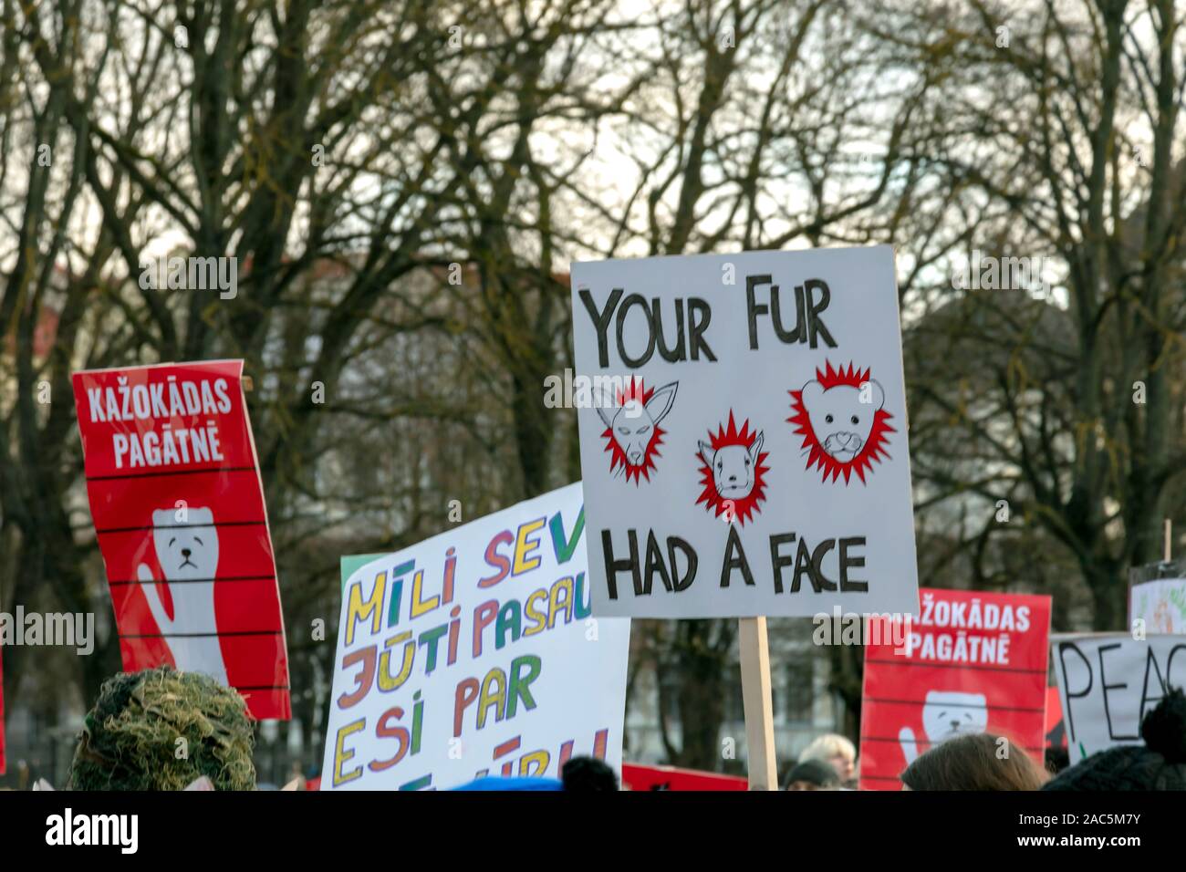 Riga, Latvia - November 30, 2019 : Crowd of activists at Animal ...