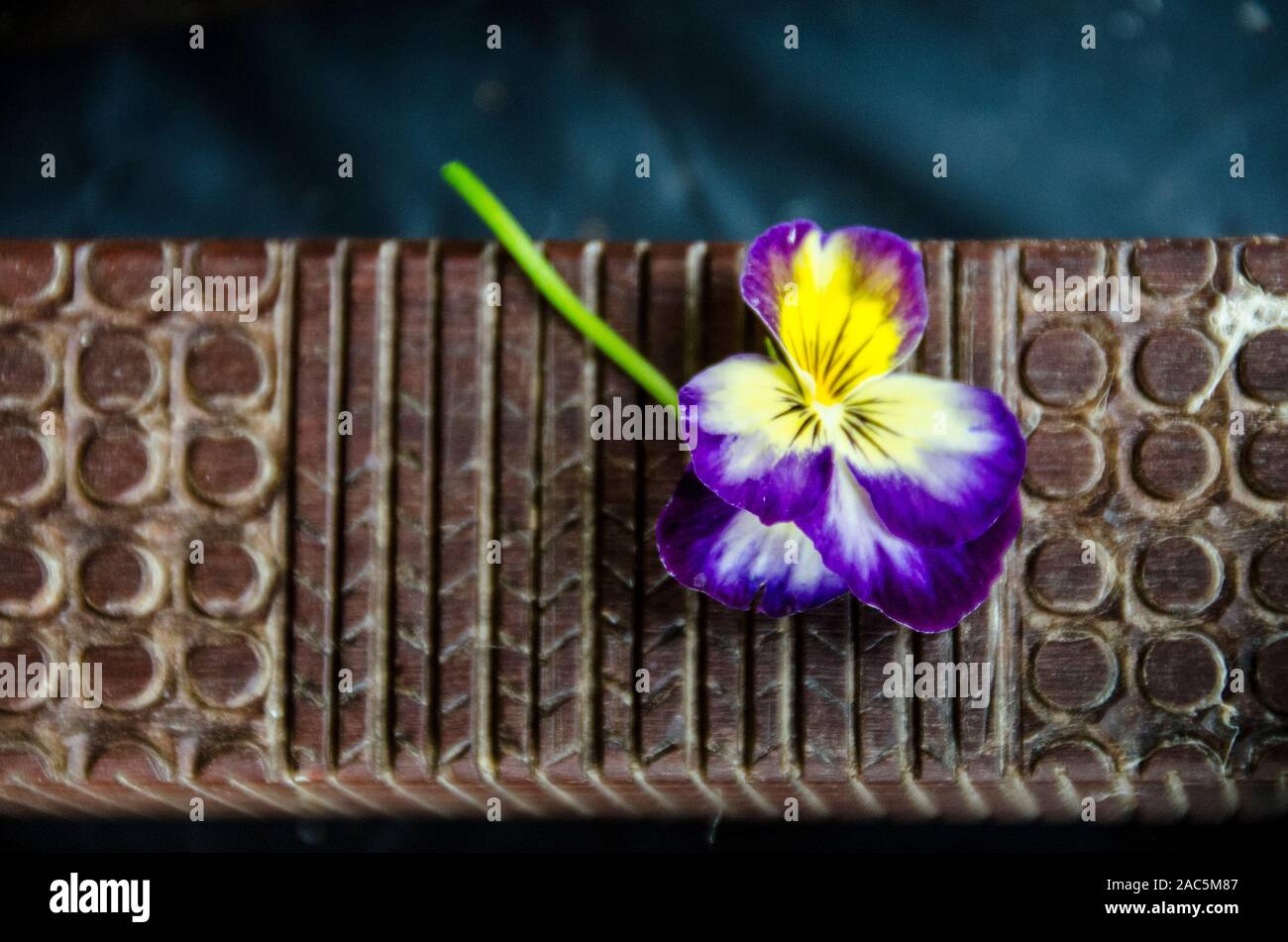 Kapa making tool hi-res stock photography and images - Alamy