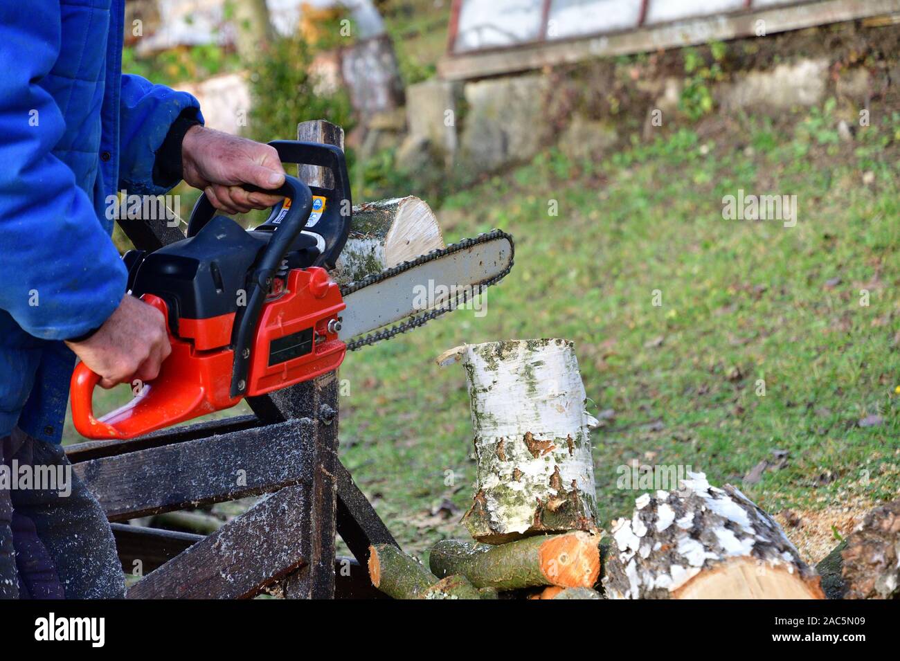 Gardener saws wood with chainsaw by hand in safety dress in the garden ...