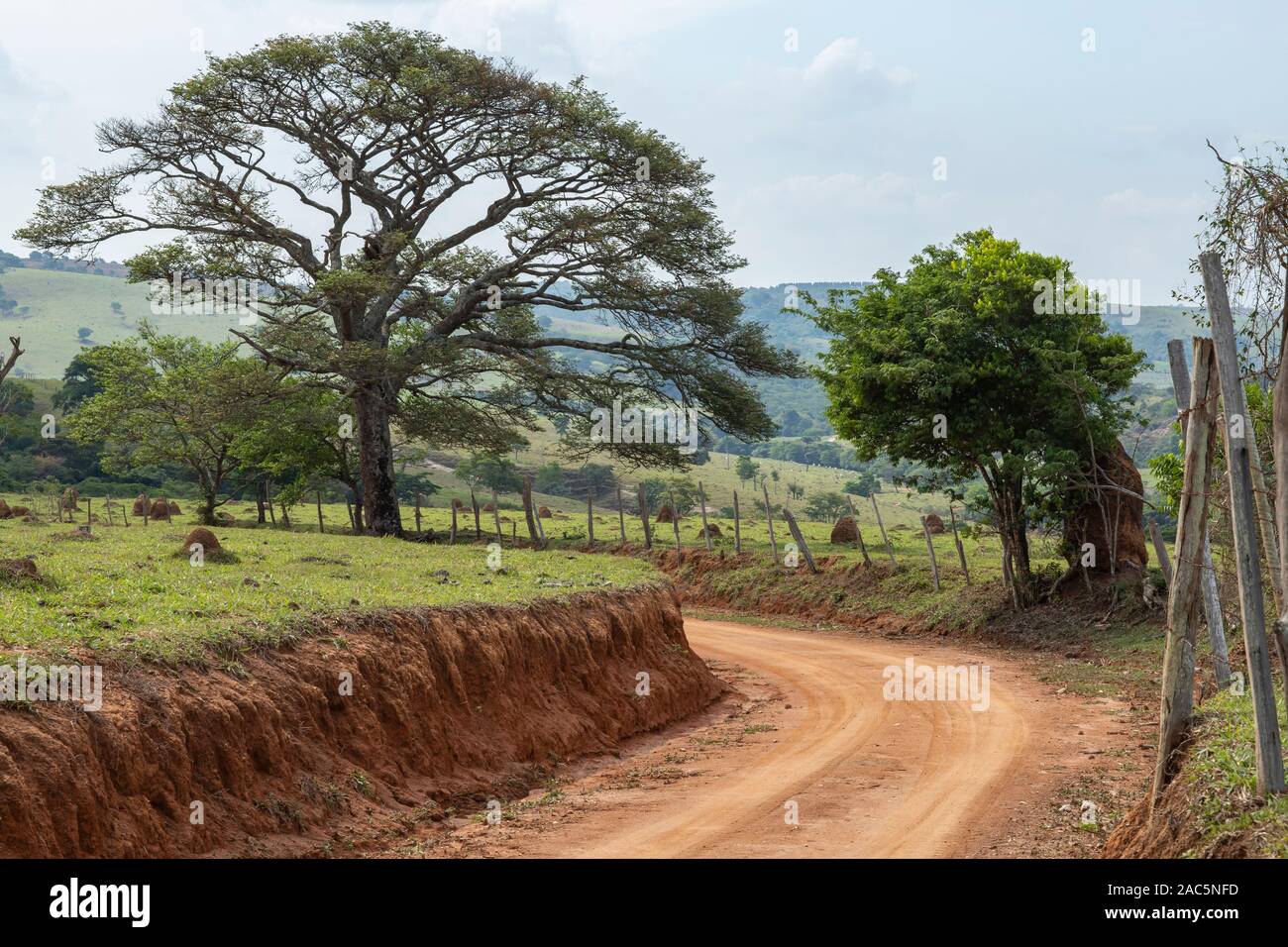 Dirt road. A country path with tree Stock Photo - Alamy