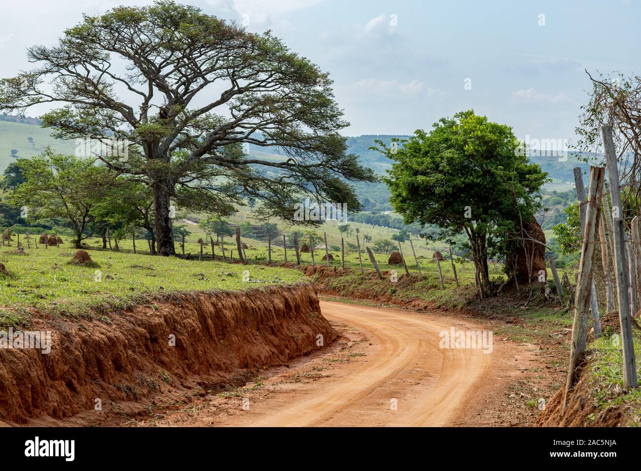 Dirt road. A country path with tree Stock Photo - Alamy