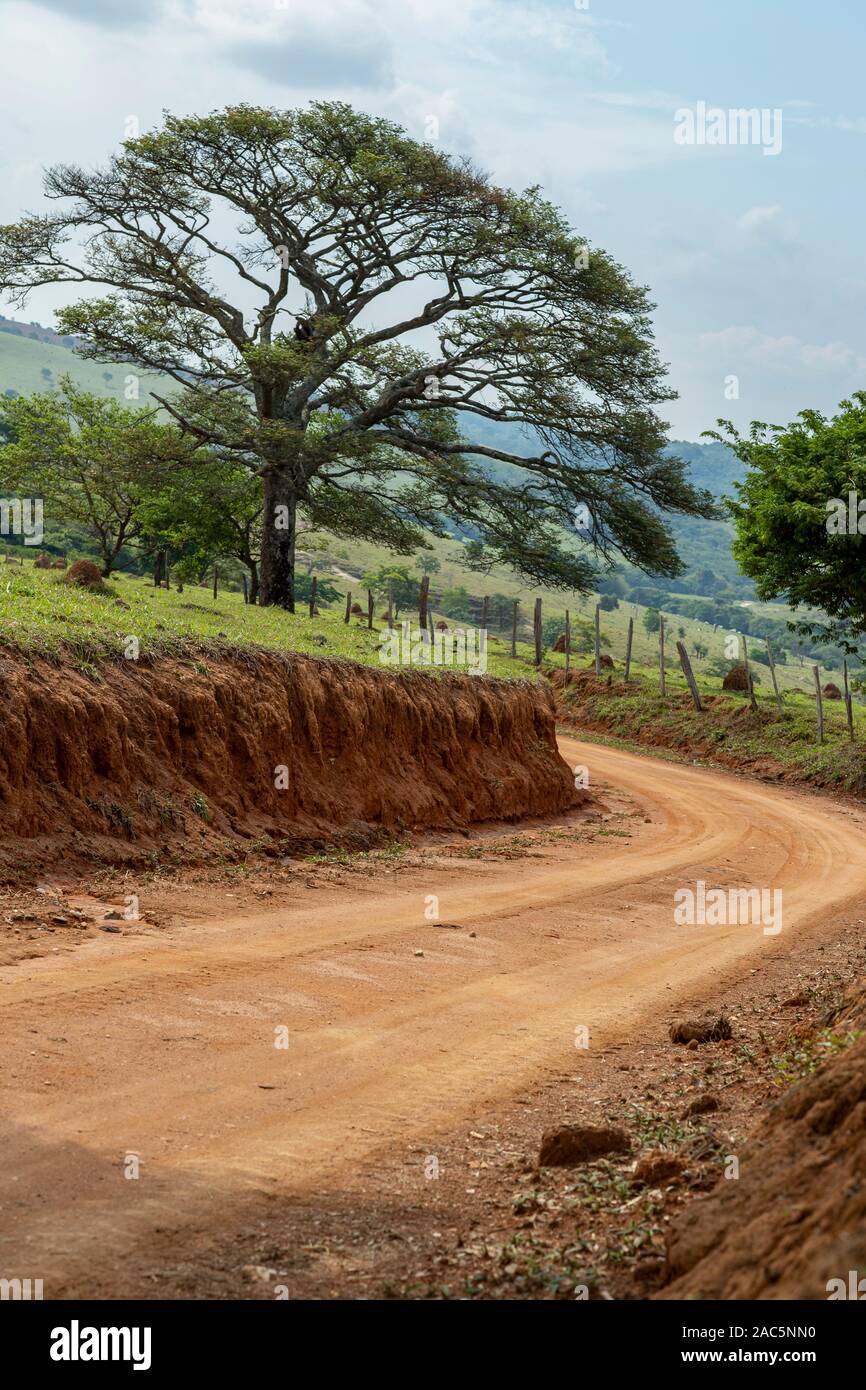 Dirt road. A country path with tree Stock Photo - Alamy