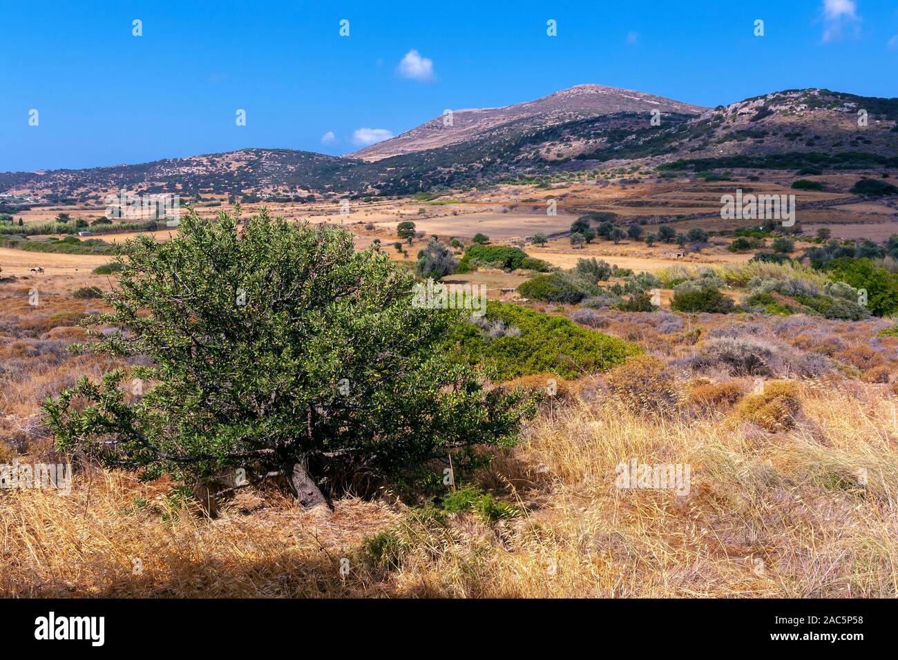 The countryside in the Naxos island, Greece Stock Photo - Alamy