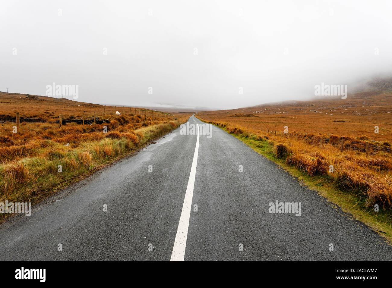 Road trough autumn landscape in golden grassland, Connemara, County ...