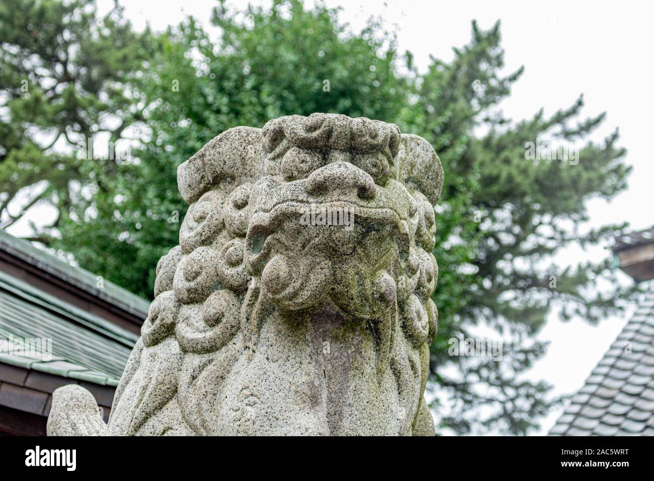 Komainu, or lion-dog, statue at saigawa jinja, Kanazawa, Japan. Komainu ...