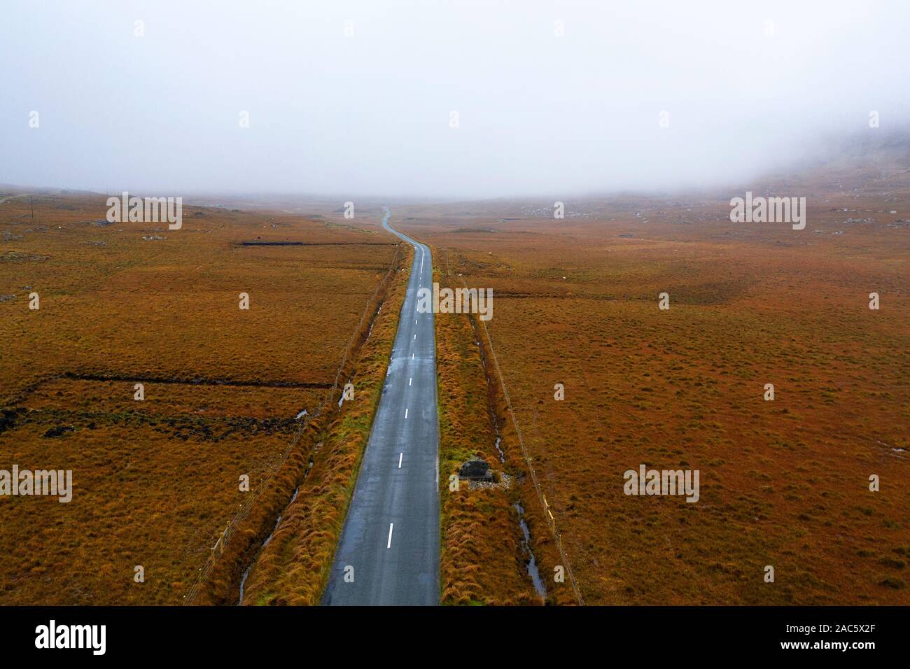 Aerial view of a road trough autumn landscape in golden grassland ...