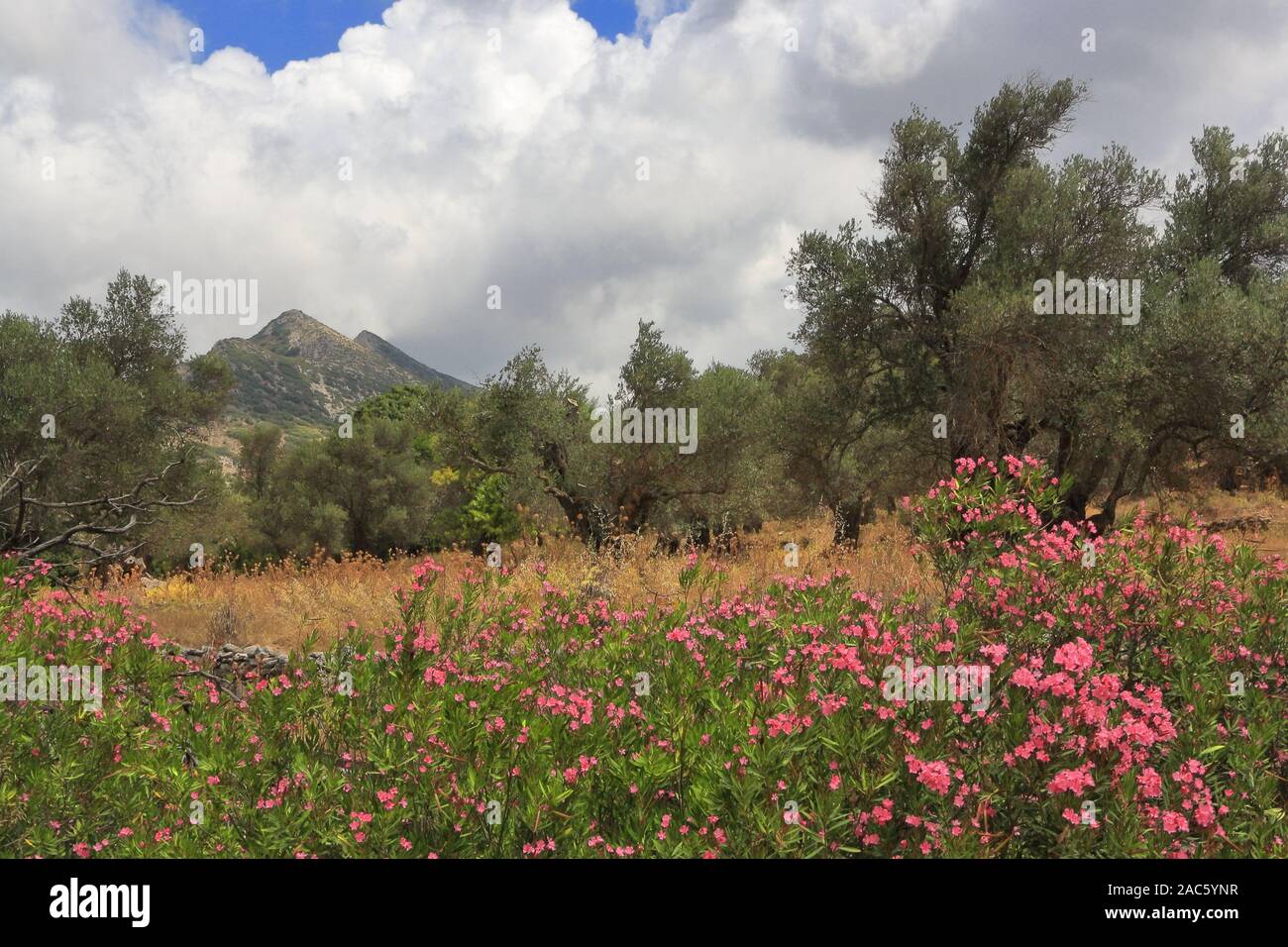 Naxos countryside hi-res stock photography and images - Alamy