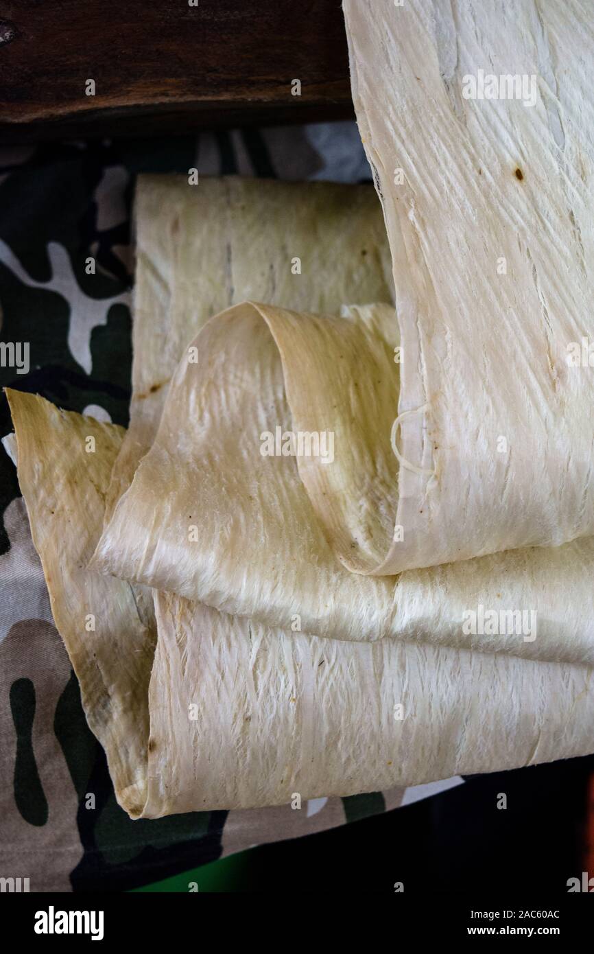 Kapa making on the Big Island: Several wauke (paper mulberry) felted to ...