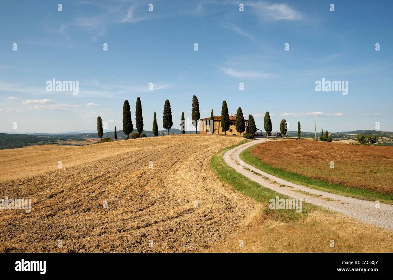 Tuscany, cypress trees hi-res stock photography and images - Alamy