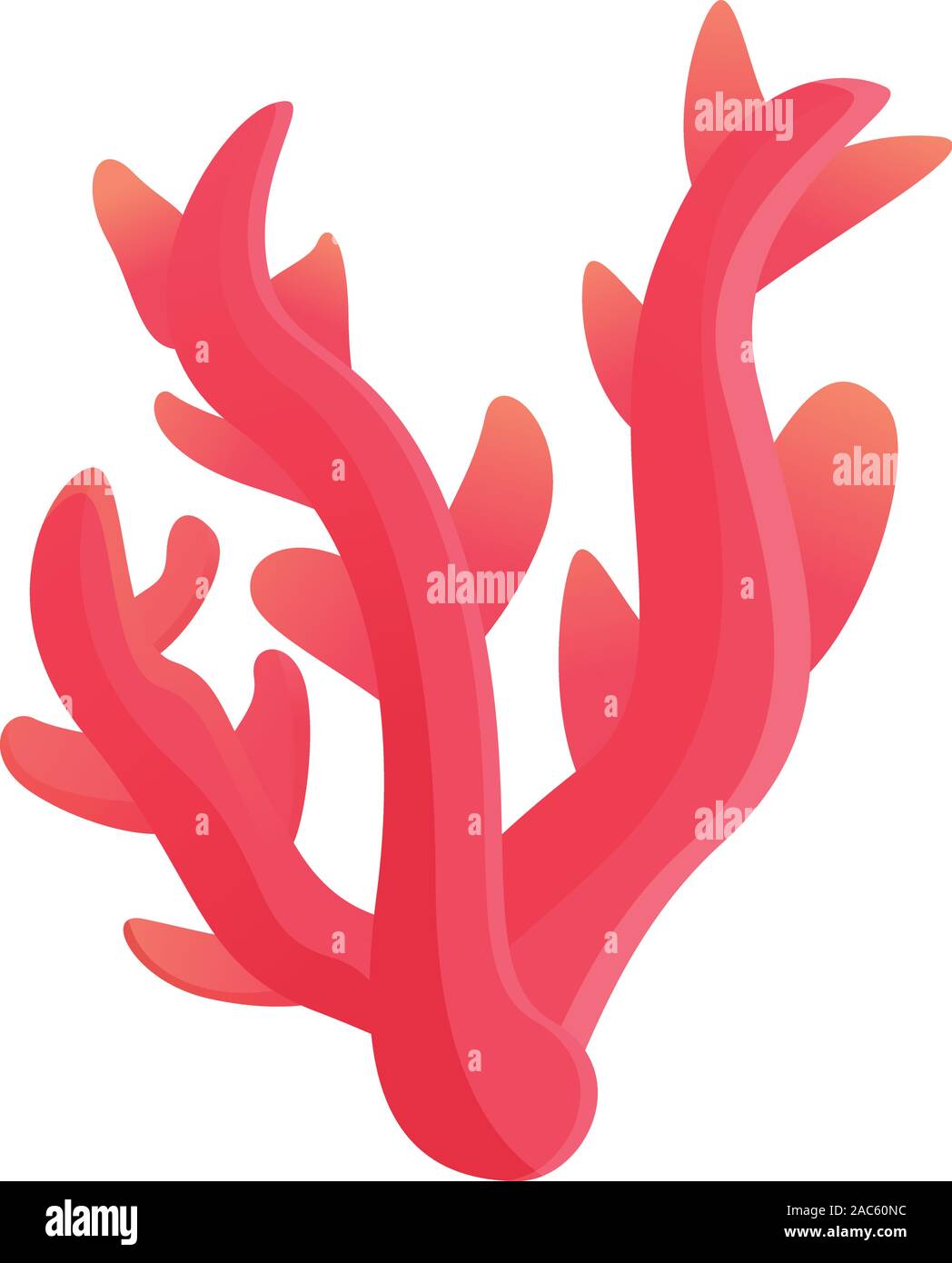 Coral Cartoon Images