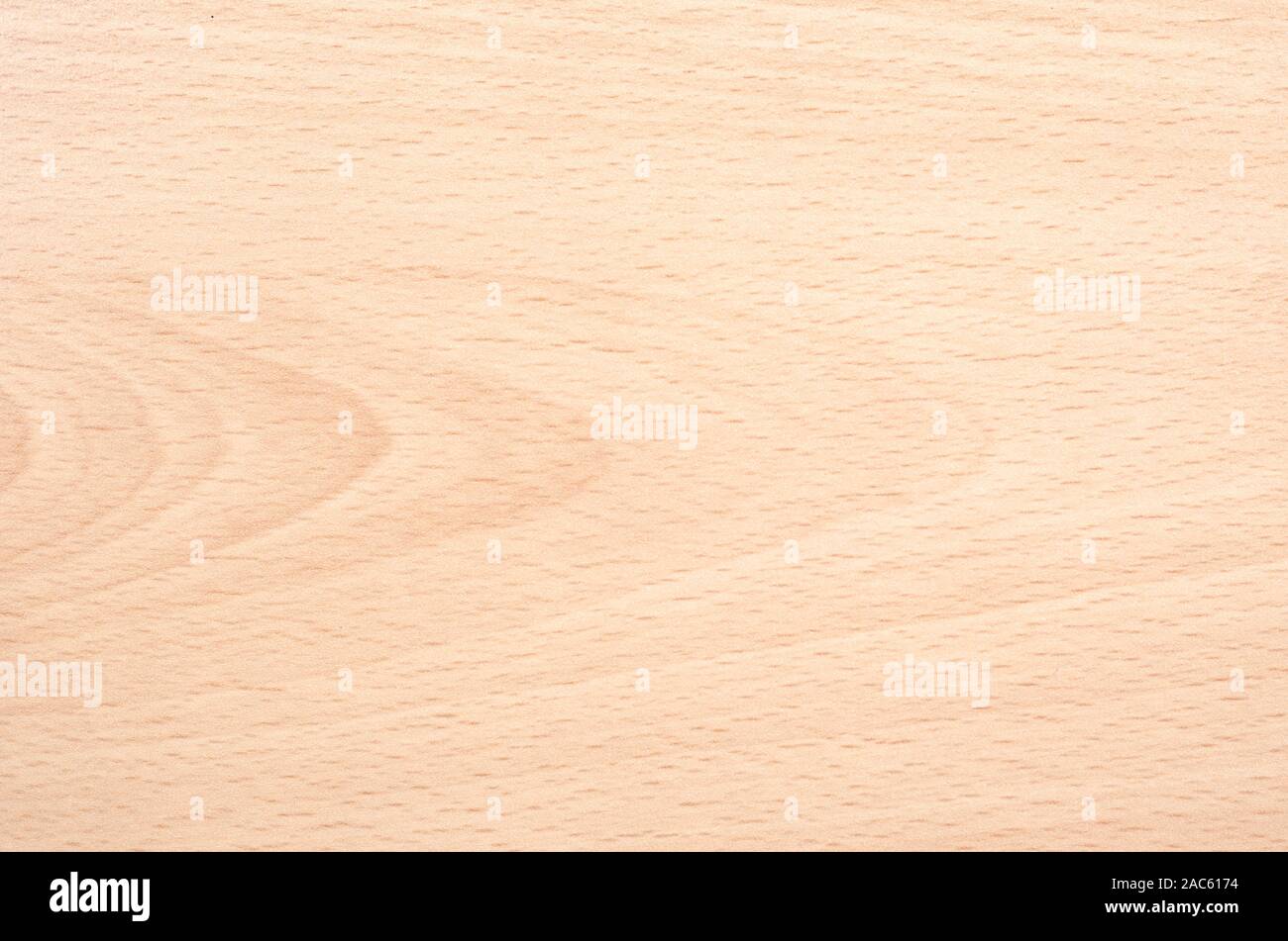 Close-up of beech fiber background . Wood tree texture Stock Photo - Alamy