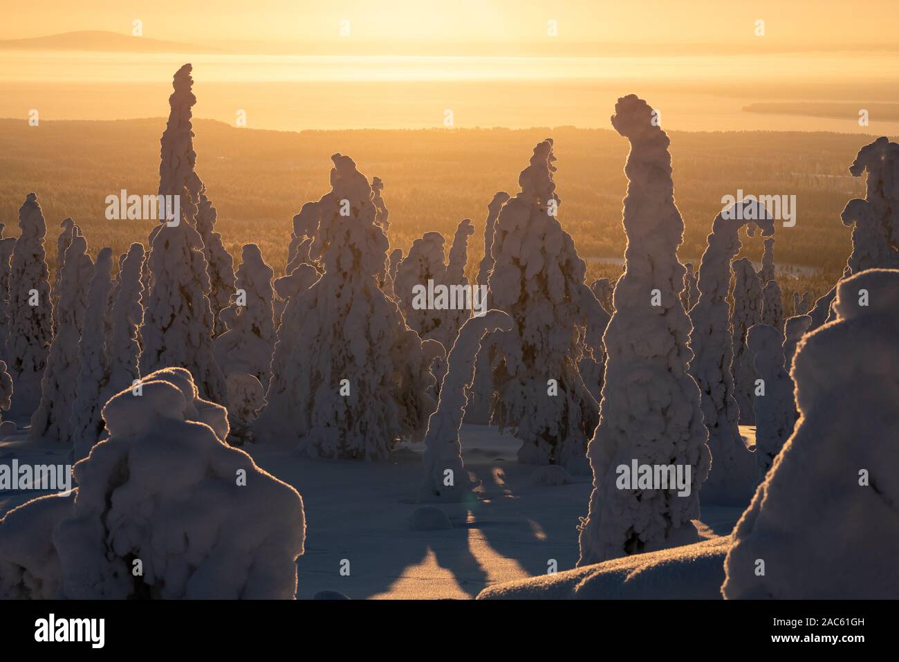 Boreal Mountain High Resolution Stock Photography and Images - Alamy