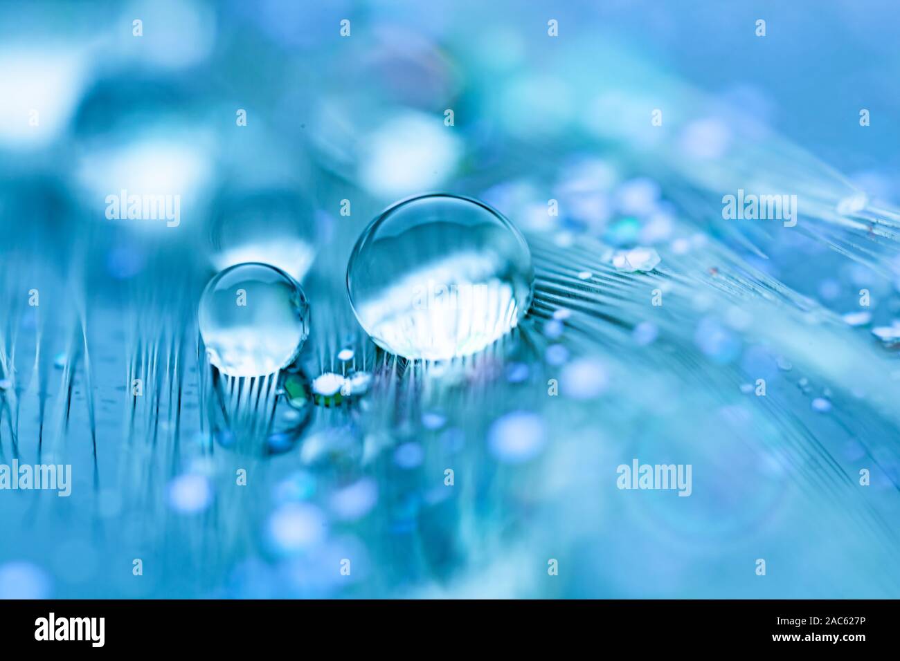 Relaxation screensaver hi-res stock photography and images - Alamy