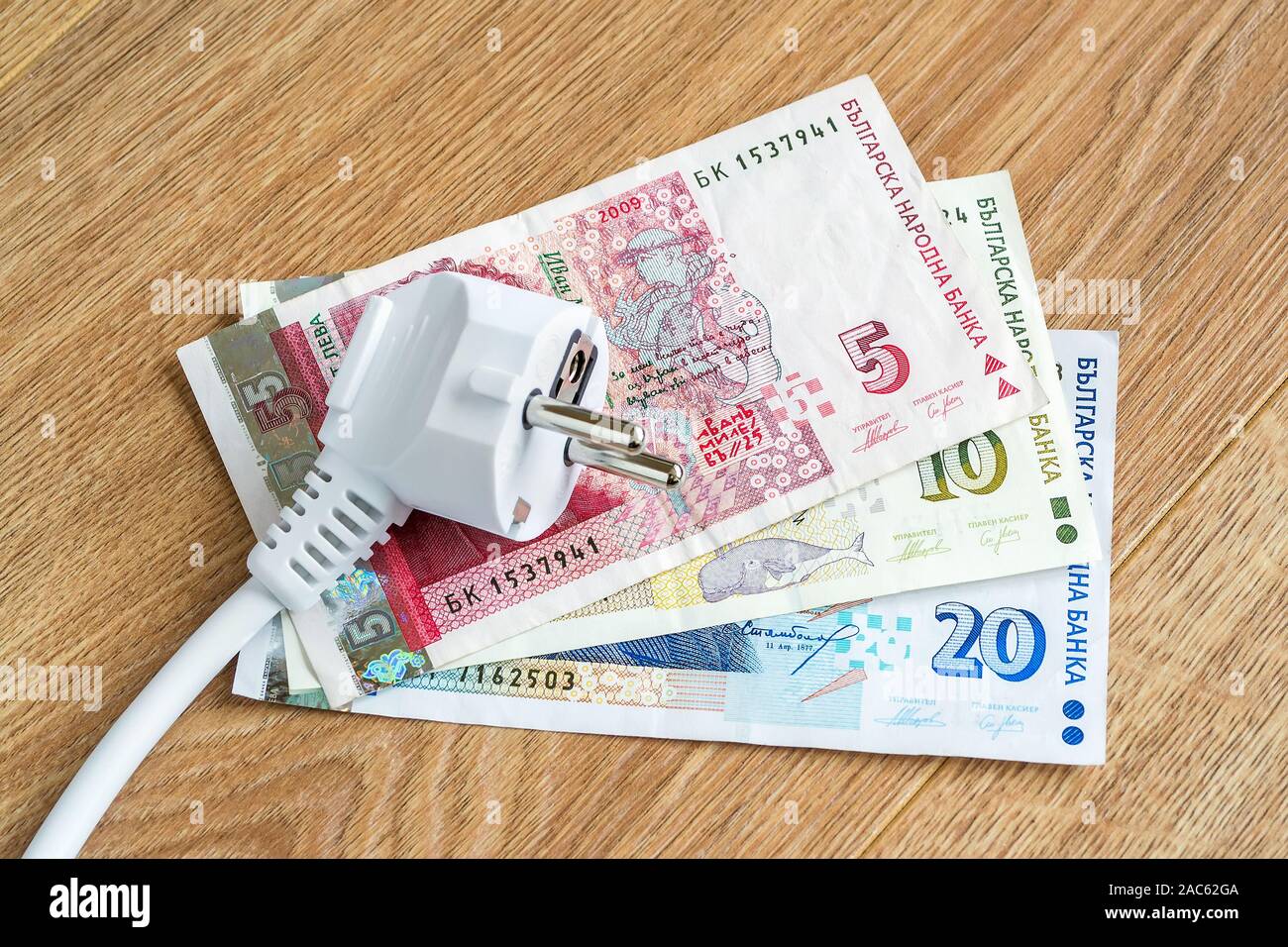 White power plug on bulgarian leva banknotes over a brown wooden ...