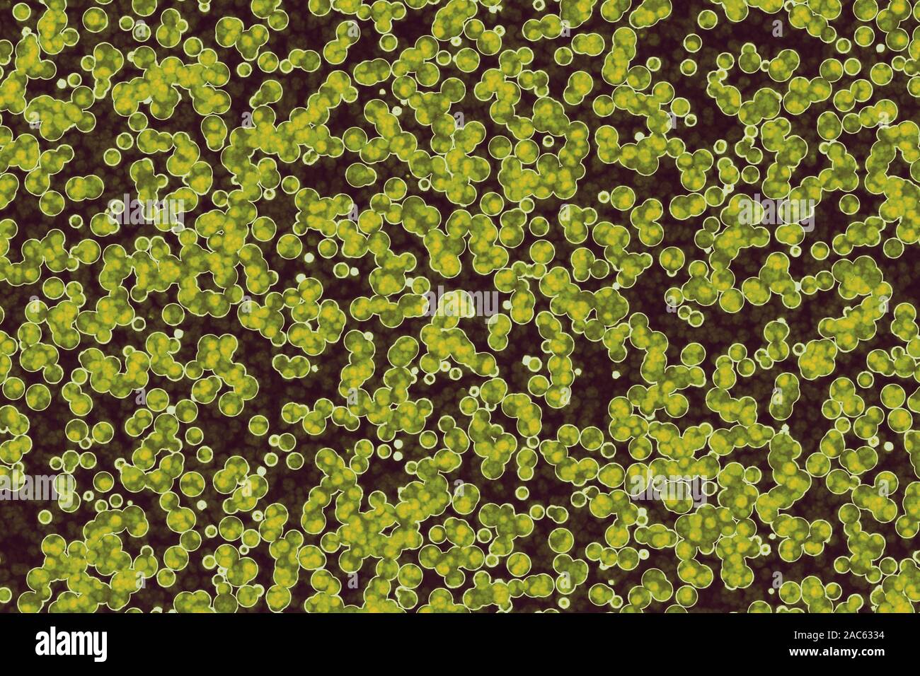 Shape of bacterial cell: cocci, bacilli, spirilla bacteria background ...