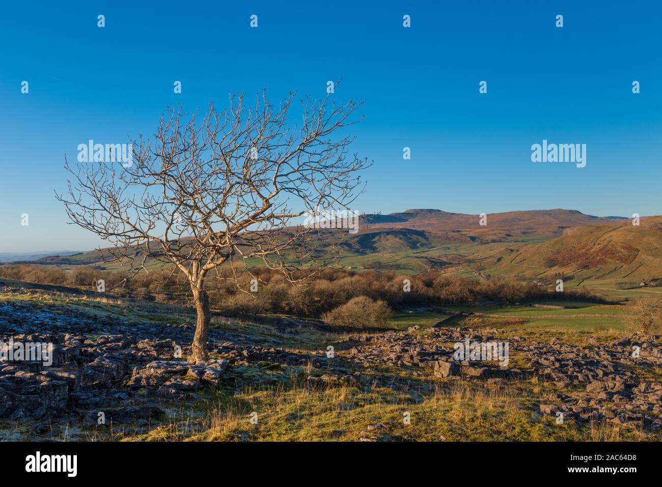Pot yorkshire hi-res stock photography and images - Alamy