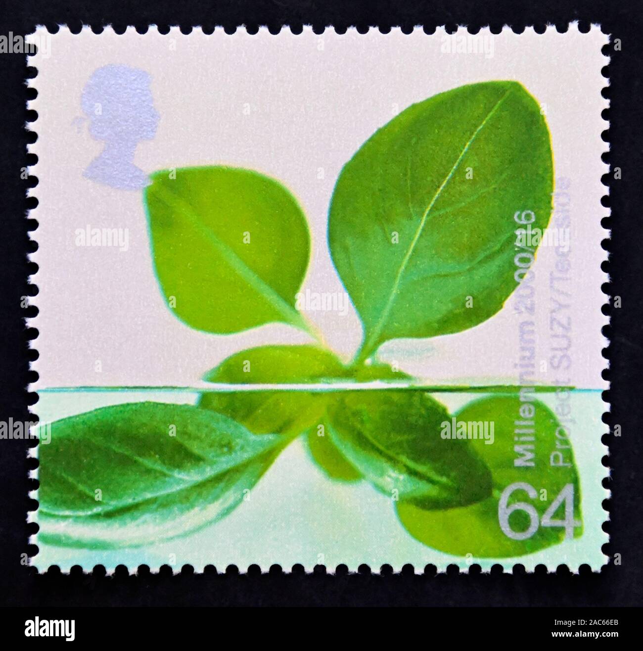Postage stamp. Great Britain. Queen Elizabeth II. Millenium Projects ...