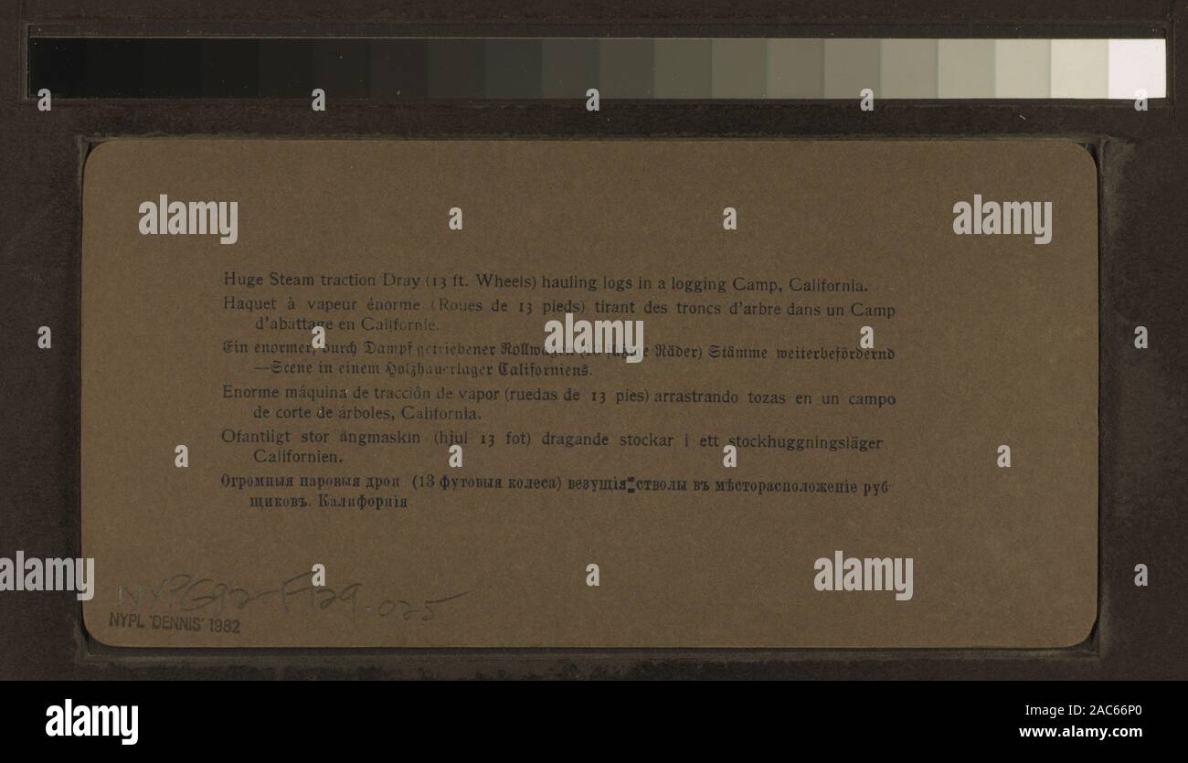 Huge Steam Traction Dray (13 Ft wheels)hauling logs in a logging camp ...