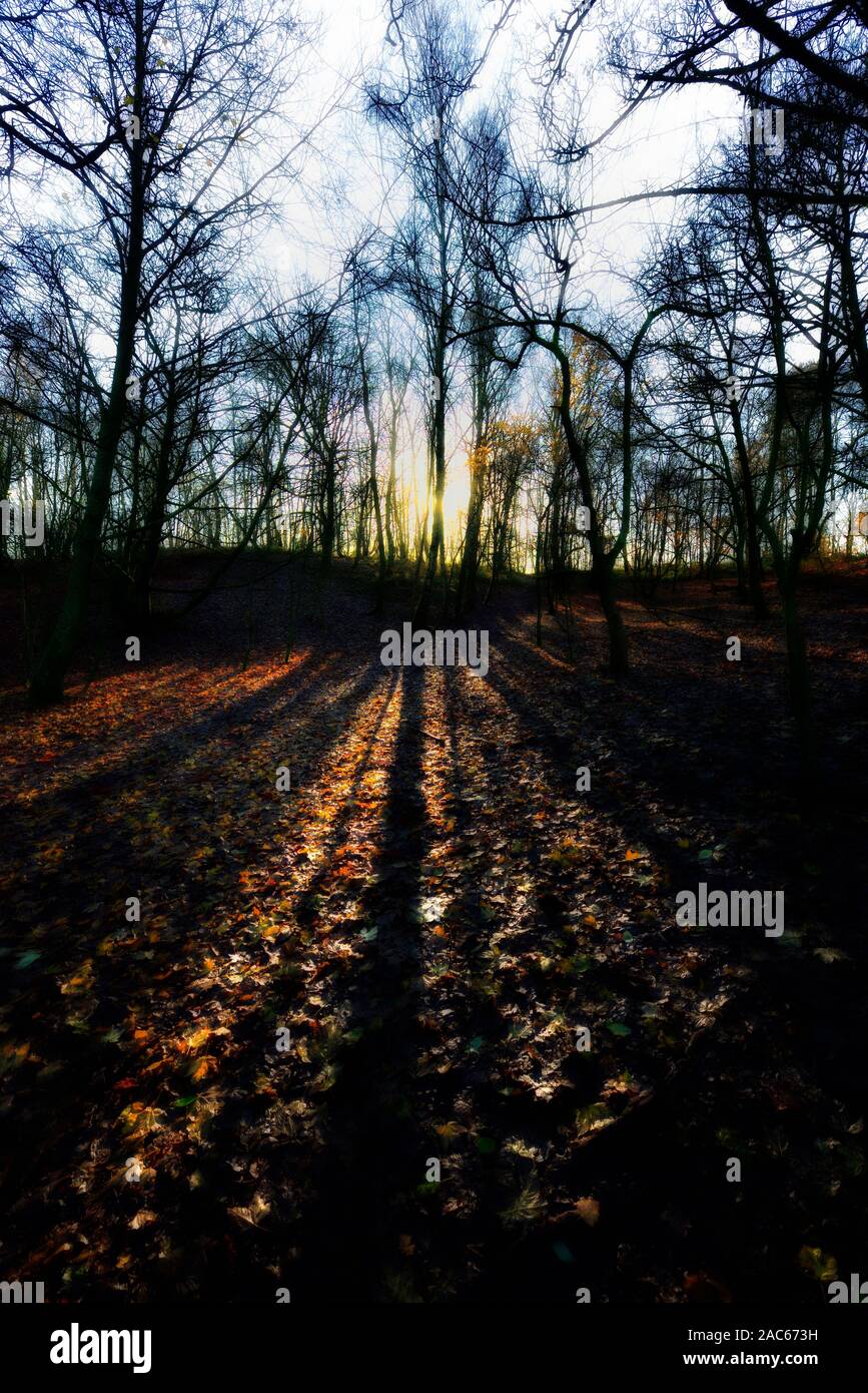 Casting of the colours hi-res stock photography and images - Alamy