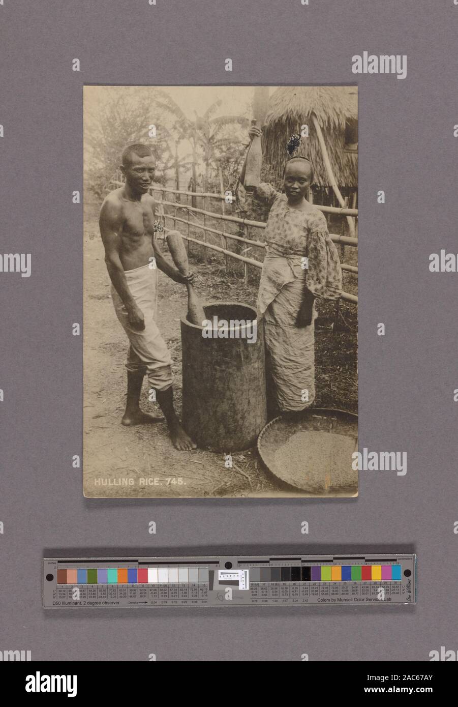 Hulling rice hi-res stock photography and images - Alamy