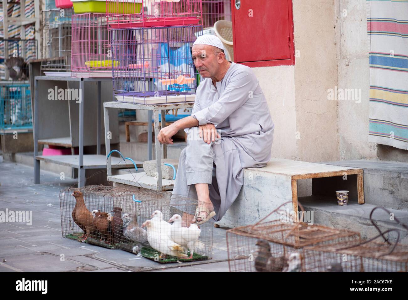 Souq birds market hi-res stock photography and images - Alamy