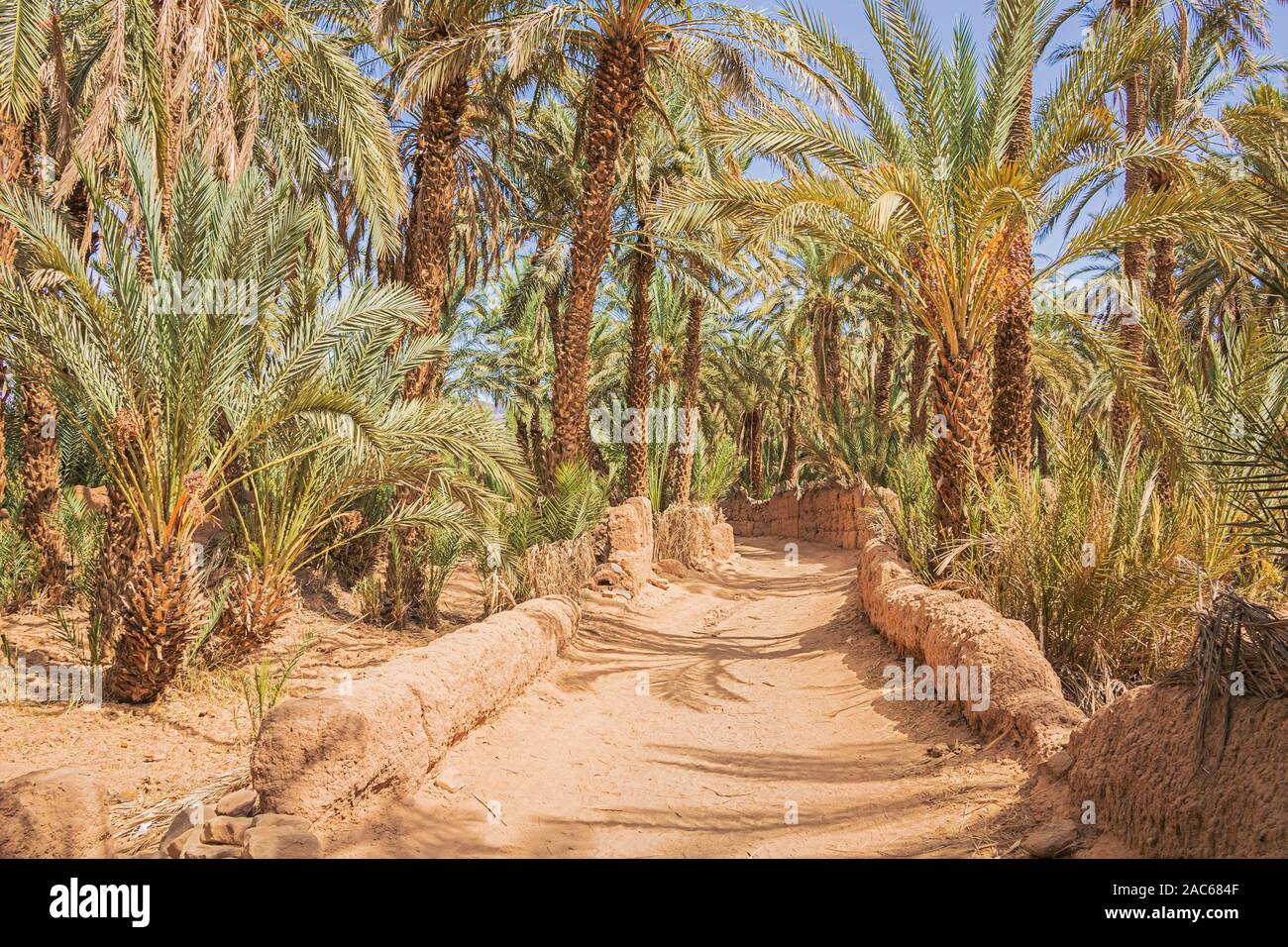 Othmane hi-res stock photography and images - Alamy