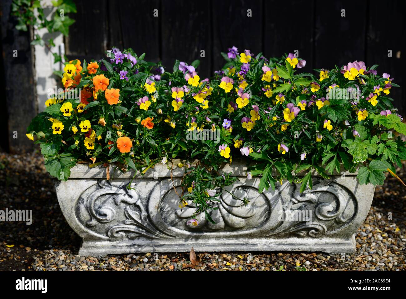 Trough container hi-res stock photography and images - Alamy