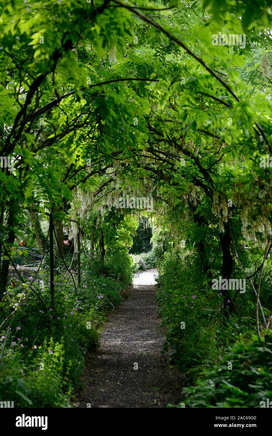 Arched Pergola High Resolution Stock Photography and Images - Alamy