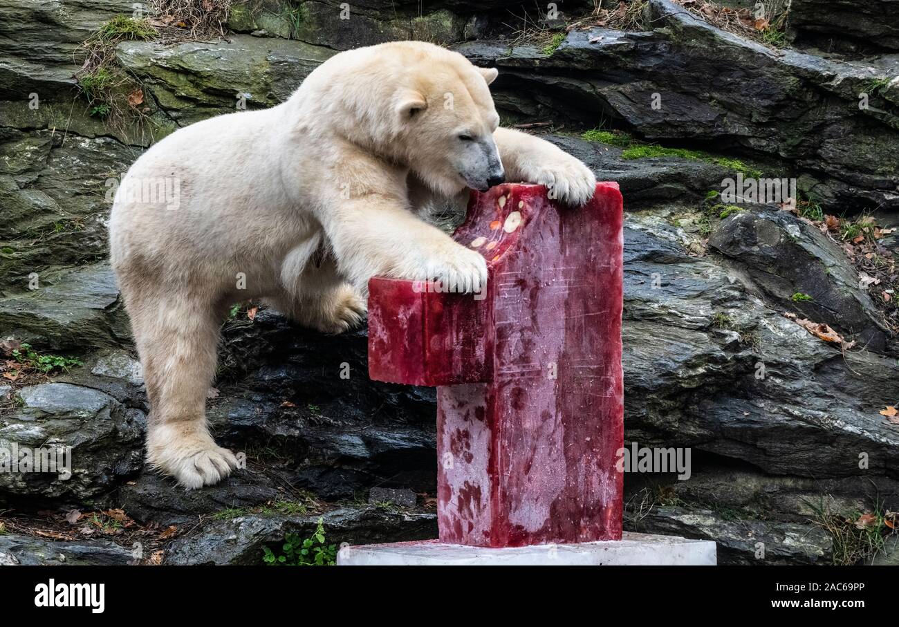 Berlin, Germany. 01st Dec, 2019. Ice mother Tonja explores an oversized ...