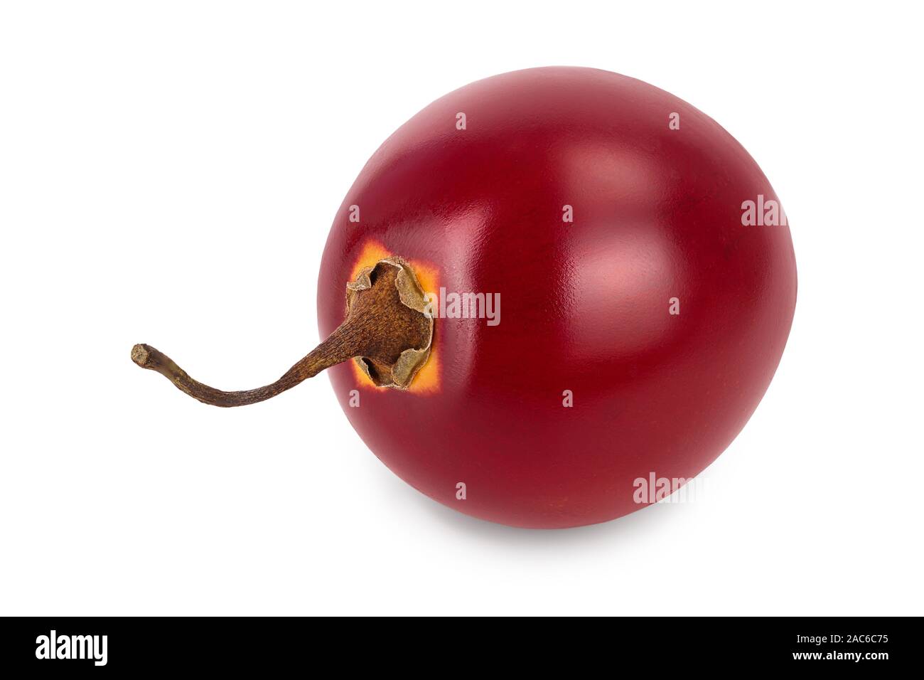 Fresh tamarillo fruit isolated on white background Stock Photo - Alamy