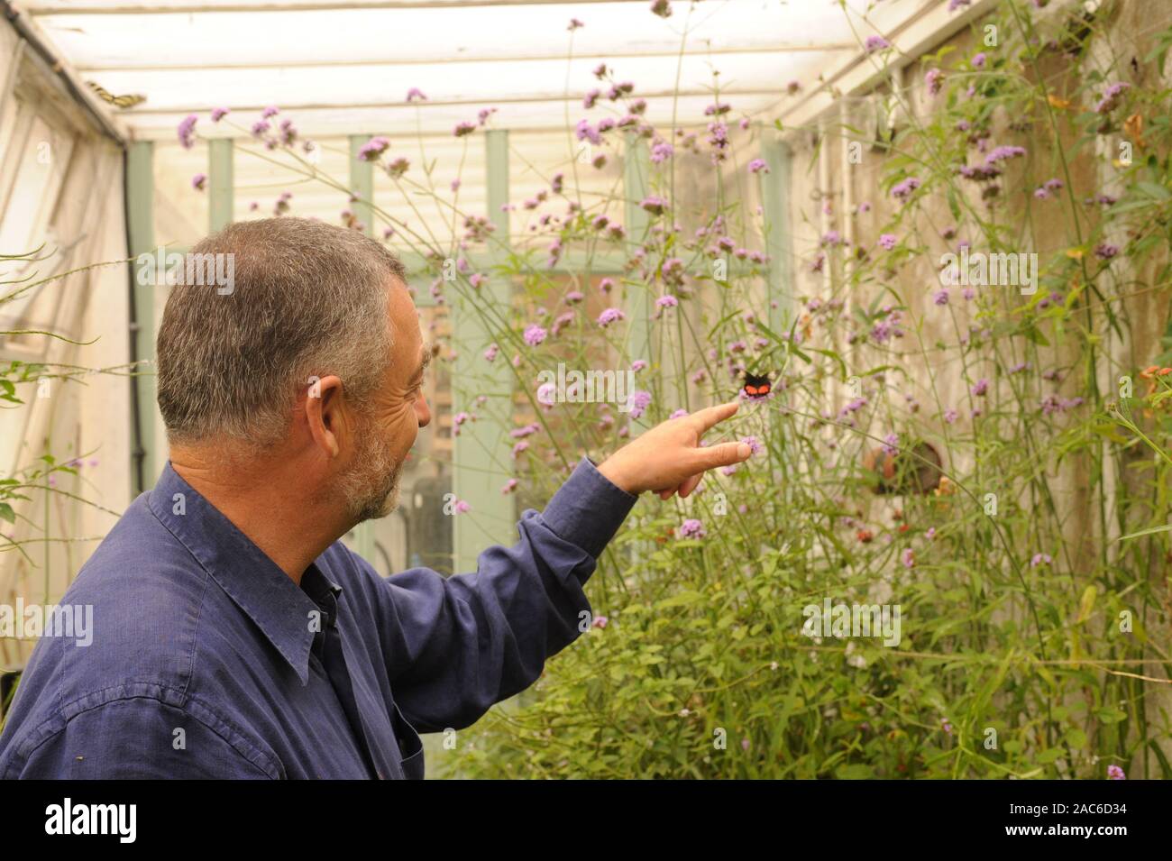 Stratford butterfly farm hi-res stock photography and images - Alamy