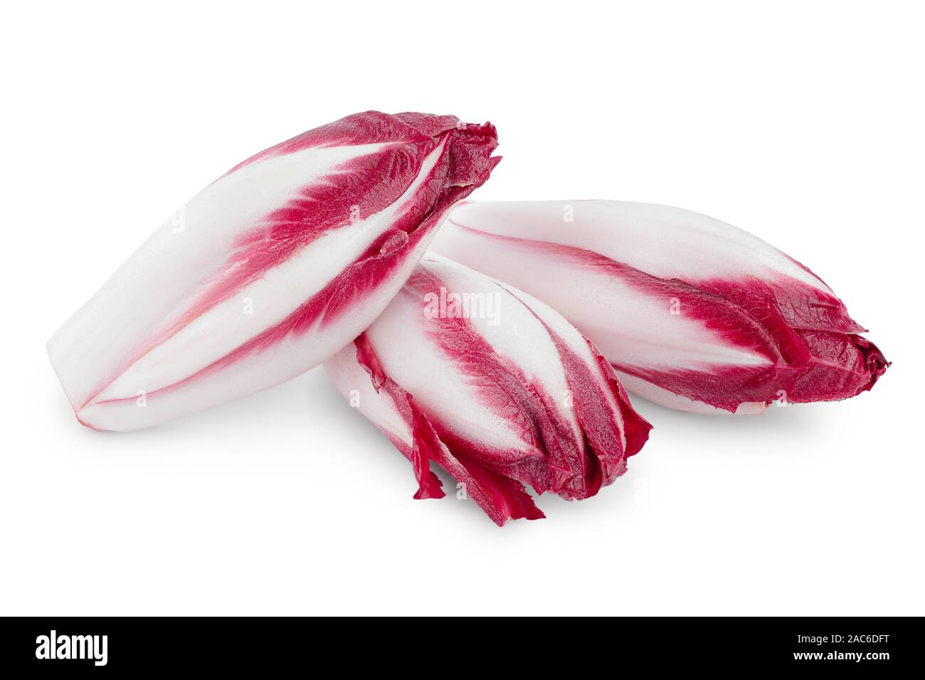 red chicory or radicchio isolated on white background Stock Photo - Alamy