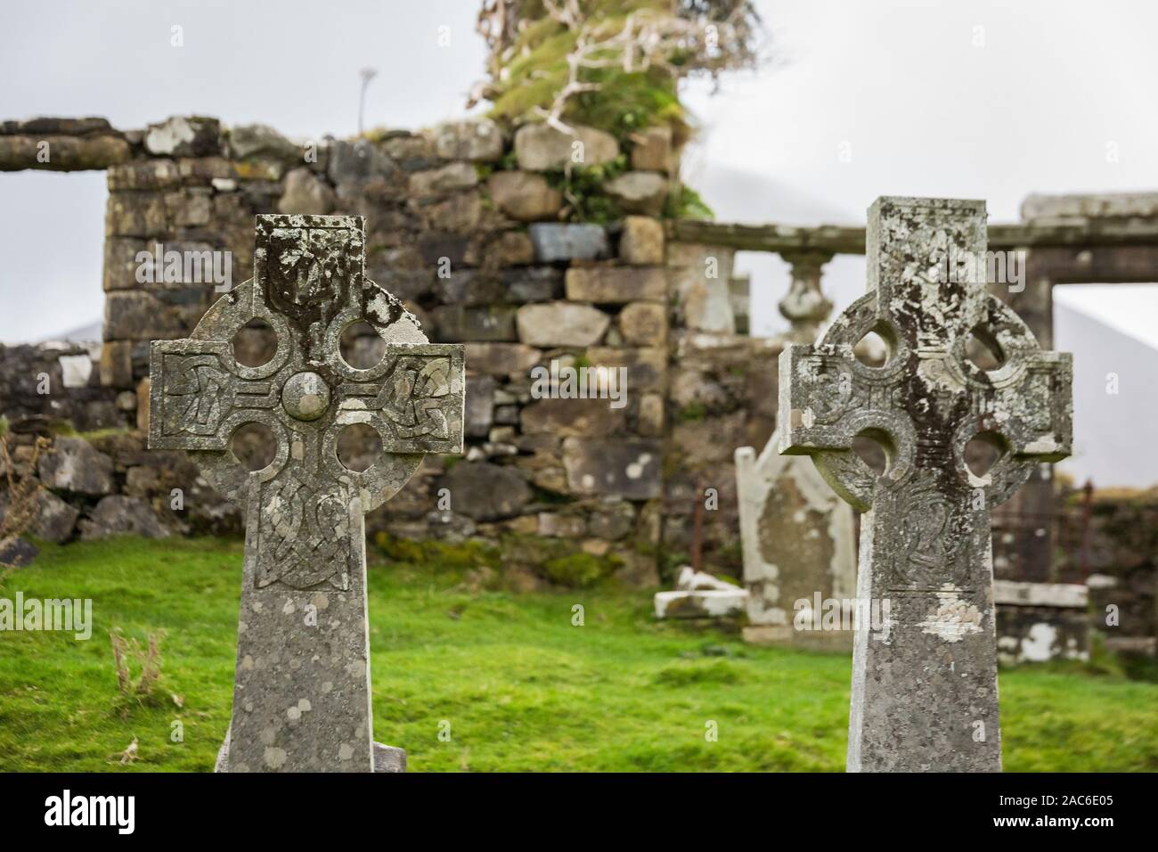 Old cemetery inside destroyed castle in Scotland, foggy weather outside ...