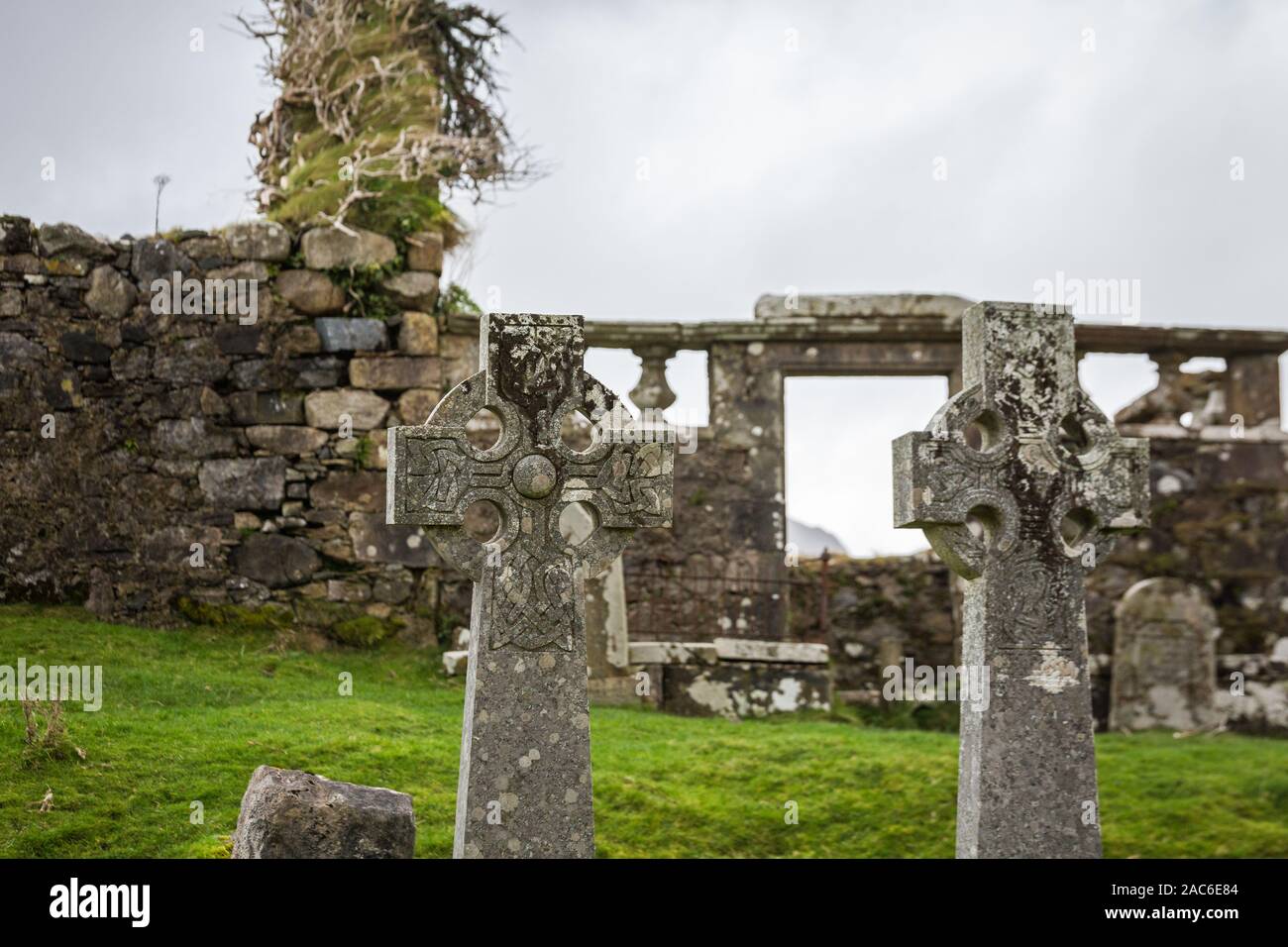 Old cemetery inside destroyed castle in Scotland, foggy weather outside ...