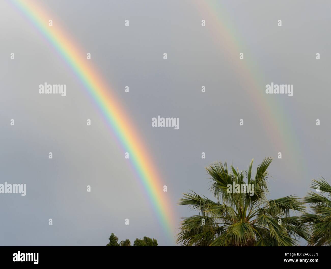 Double Rainbow Landscape Palm Trees High Resolution Stock Photography ...