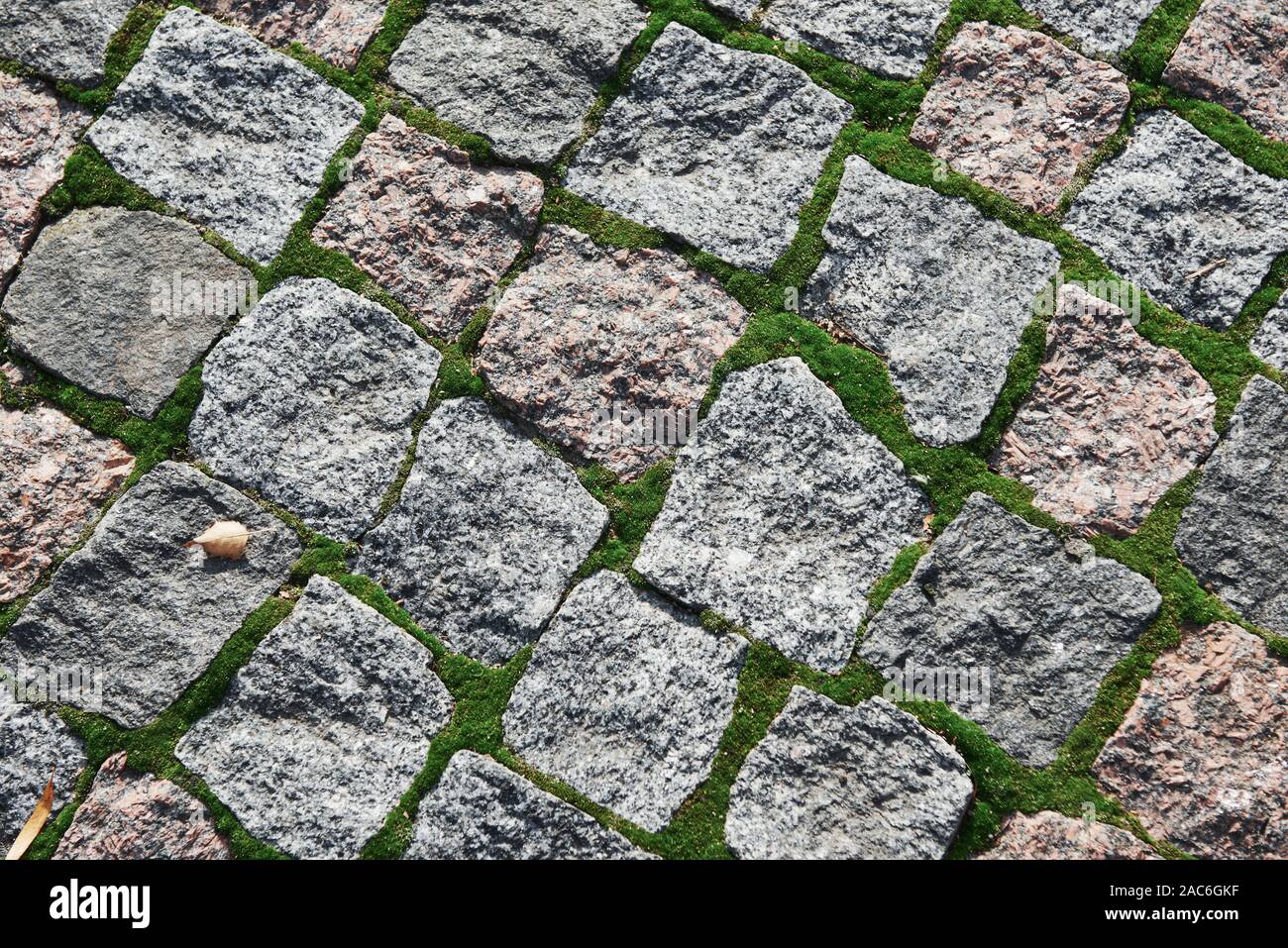 Background of old cobblestone with moss between rocks and dried leaves ...
