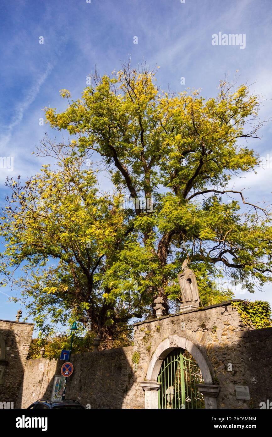 Garden portal hi-res stock photography and images - Alamy