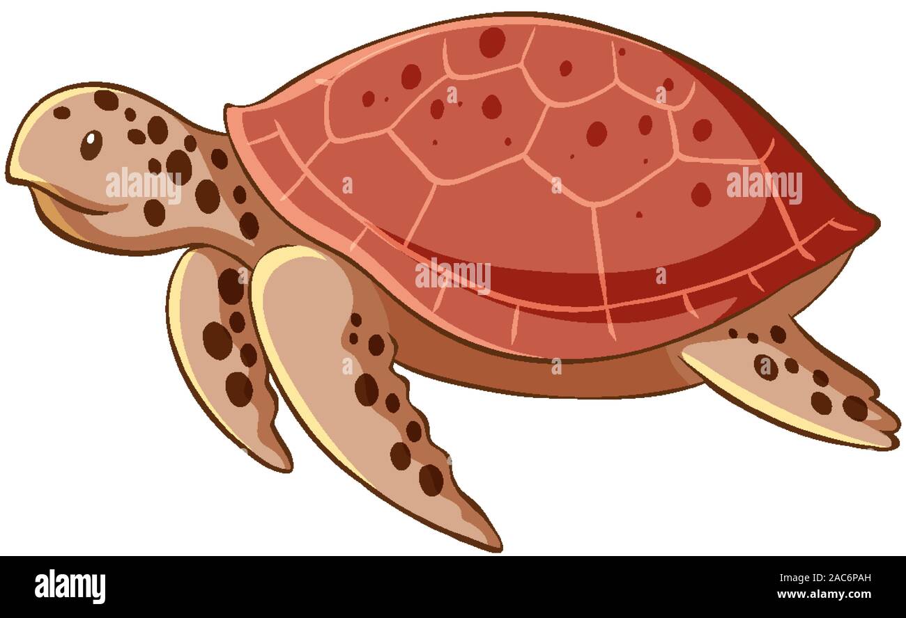 Sea turtle on white background illustration Stock Vector Image & Art ...