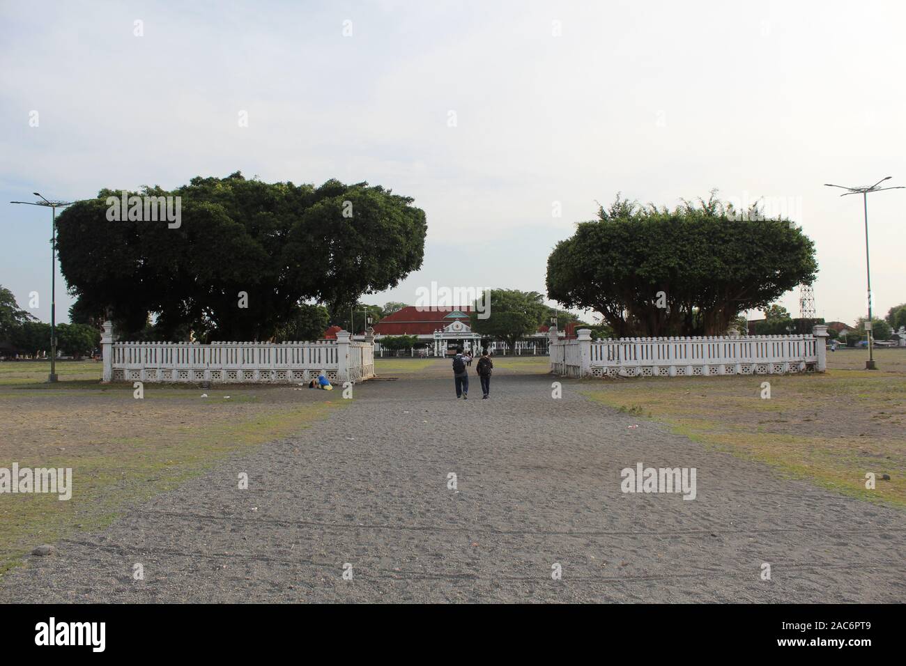 Twin trees hi-res stock photography and images - Alamy